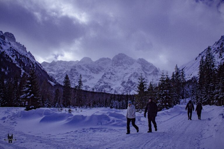 Top Zakopane Winter Activities – Poland’s Alpine Wonderland