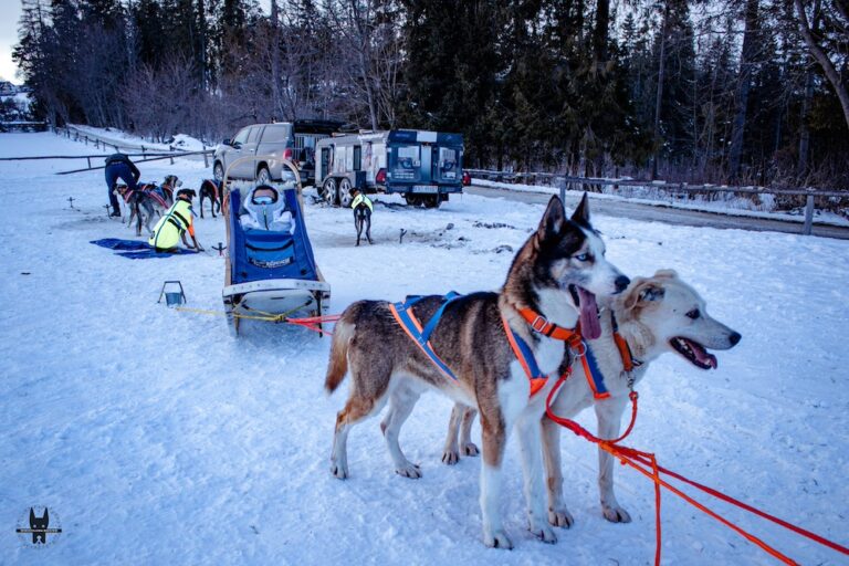Top Zakopane Winter Activities – Poland’s Alpine Wonderland