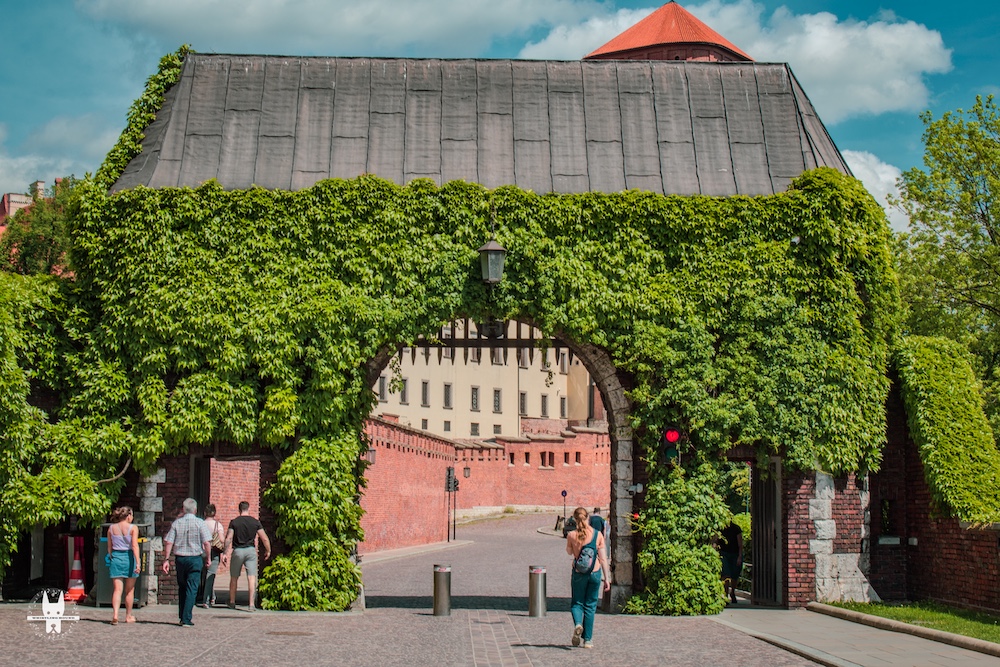 Top Things to Do in Kraków: One Day Travel Guide
